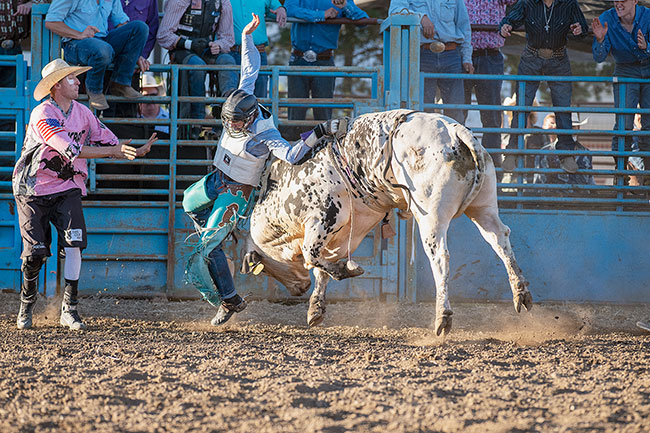 BULLMANIA 2022: MIND THE HORNS!