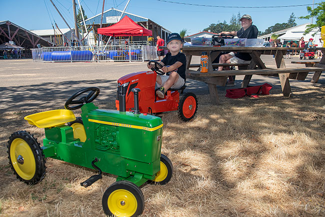 County fair continues with concerts, livestock auction, demo derby