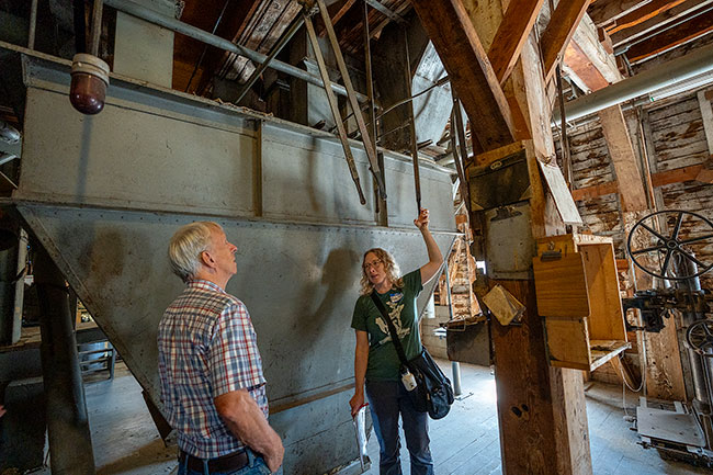 Buchanan Cellers: A climb back in time