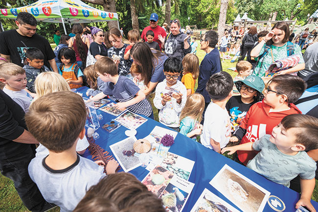 Undersea explorers: Ocean creatures, Oregon Coast Aquarium make stop at ...