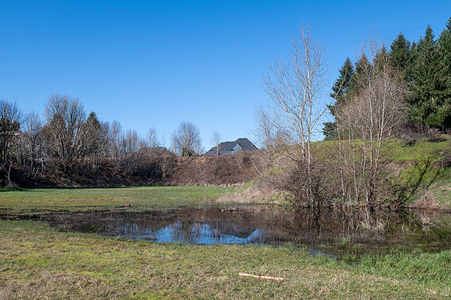 Bumps ahead for Quarry Park?