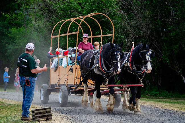 Celebrating Beverly: Yamhill festival draws fans of children’s author