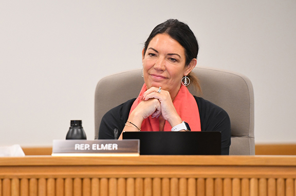 Lucetta Elmer elected to lead House Republican Caucus
